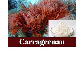 carrageenan-2713.jpg